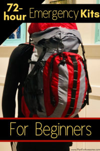 72-Hour Emergency Kits For Beginners – A Step-by-Step Guide (Part 1 ...