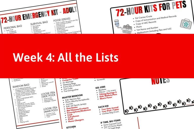 Simple 72-hour kit printable schedule to help you actually finish