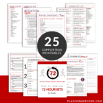 72-Hour Kits for Families: a COMPLETE Guide – Plan for Awesome