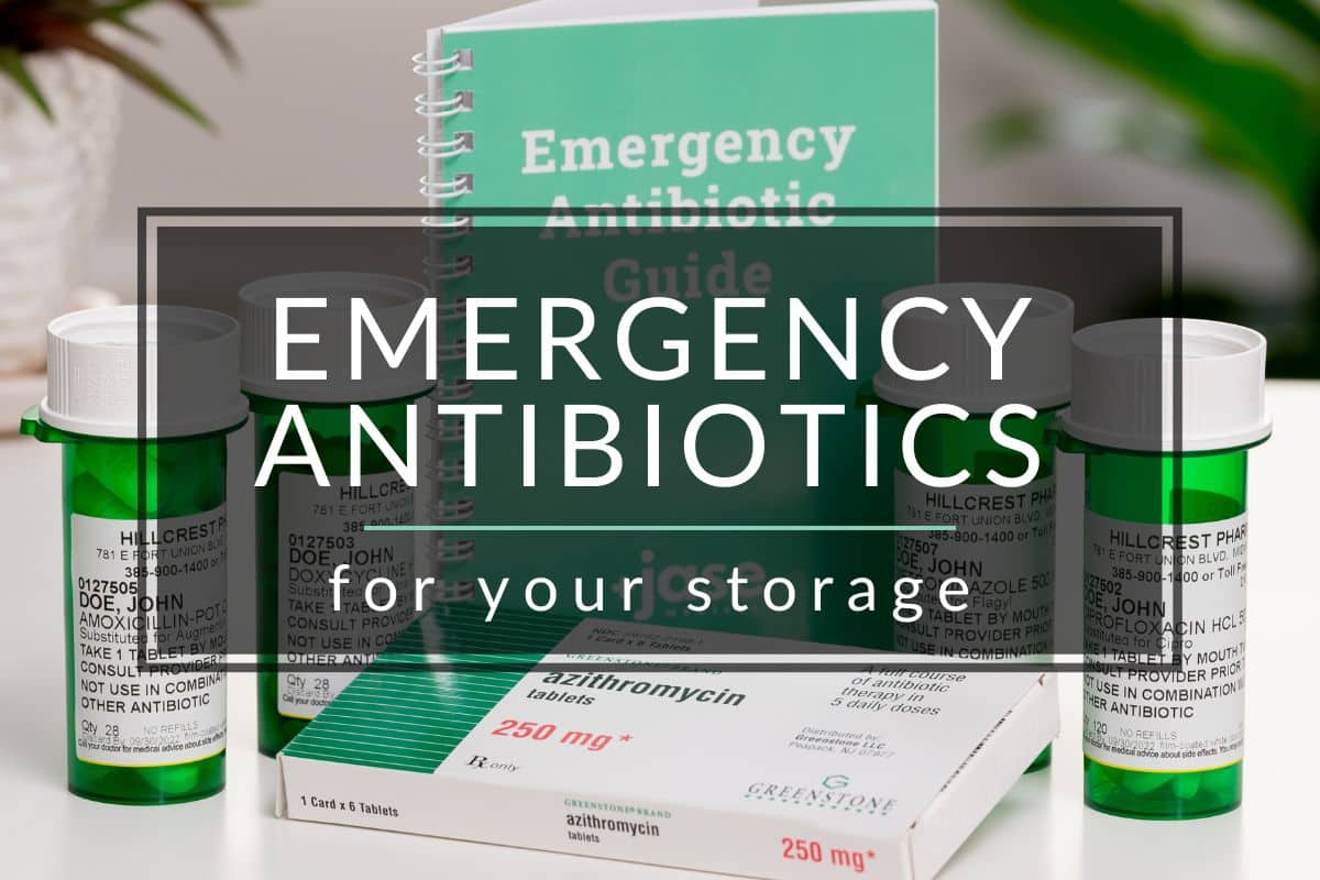 How to Get an Emergency Supply of Medication for Preparedness Purposes ...