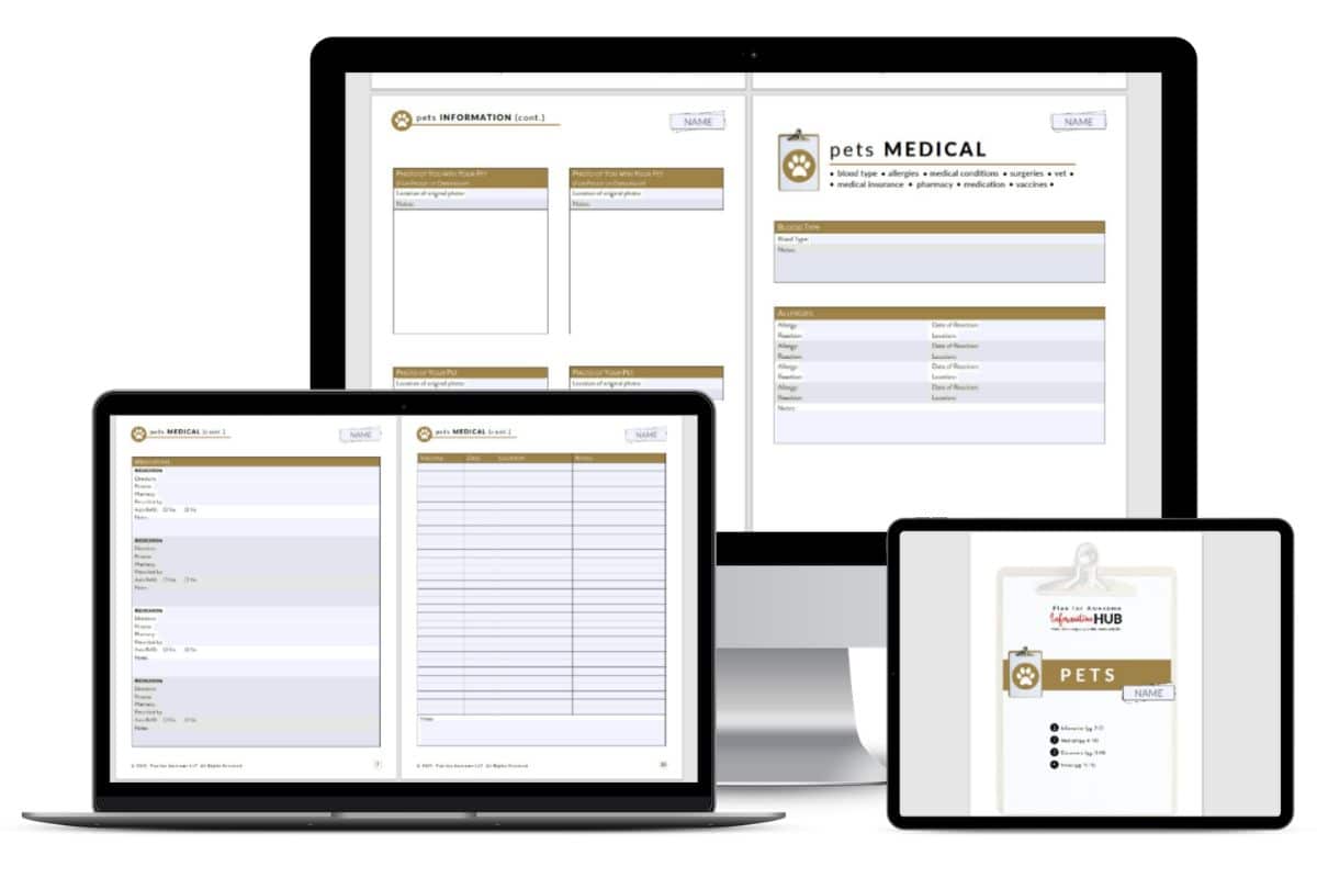 How to Organize Your Pet Documents - Plan for Awesome