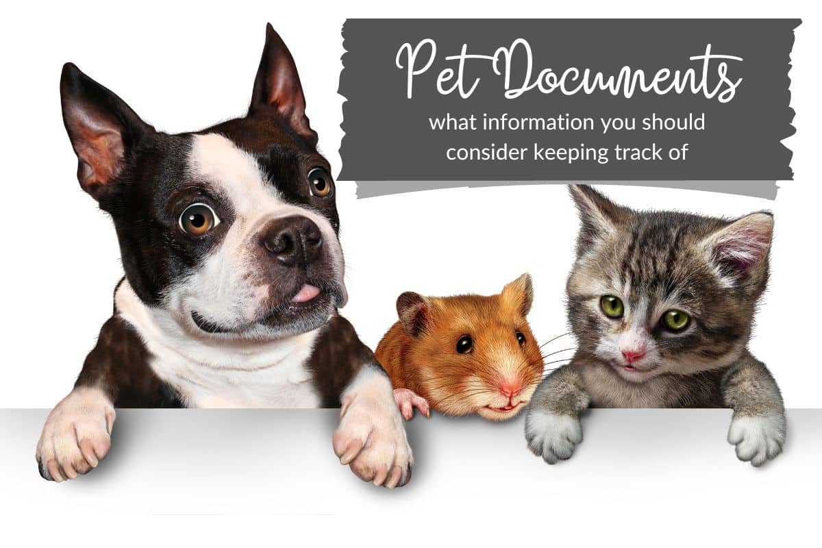 How to Organize Your Pet Documents - Plan for Awesome