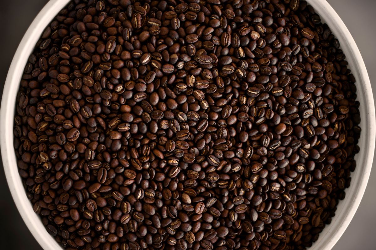 How to Use Buckets For Food Storage – Plan for Awesome